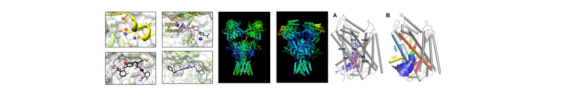 Publications – CDAR